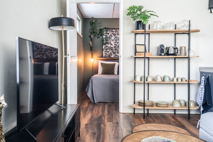 The Lion King - 6 P Apartment With Roof Terrace - Groningen