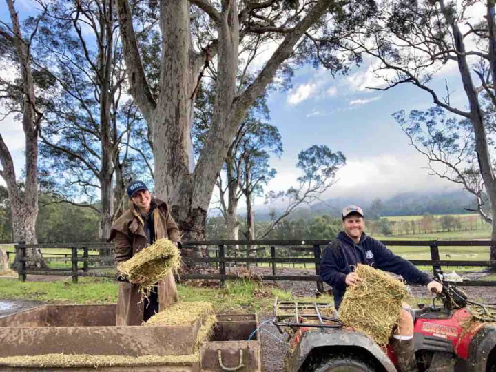 Yarramalong Valley Horse Farmstay Apartment - Central Coast