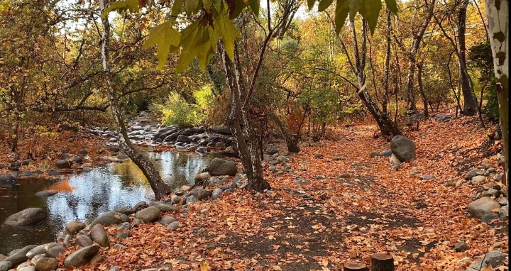 The Fairy Stream 'S House - Three Rivers, CA