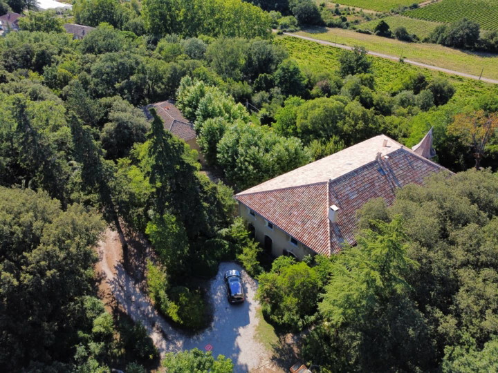 Domaine Daulone Plein Sud - Vaison-la-Romaine