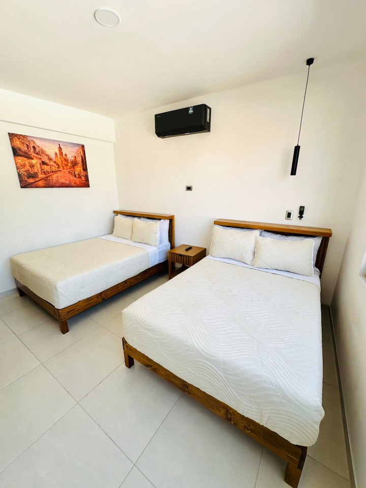 Loft Aguascalientes Zona Centro - Loft 9 - Aguascalientes