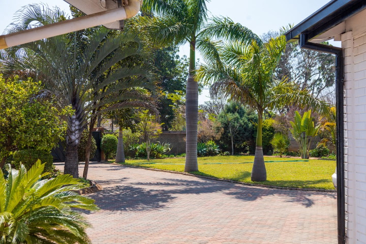 Palm Garden - Zimbabwe
