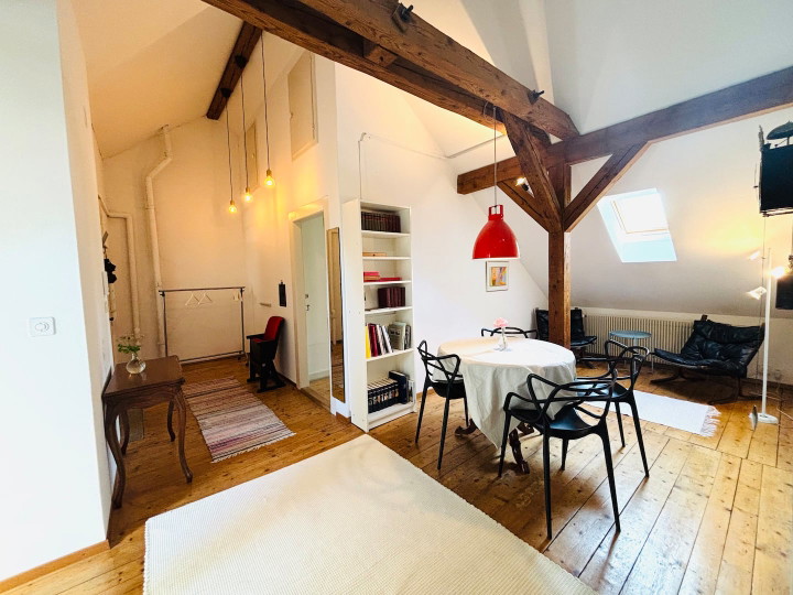 3br Apartment Near City Center | Free Bern Ticket - Bern
