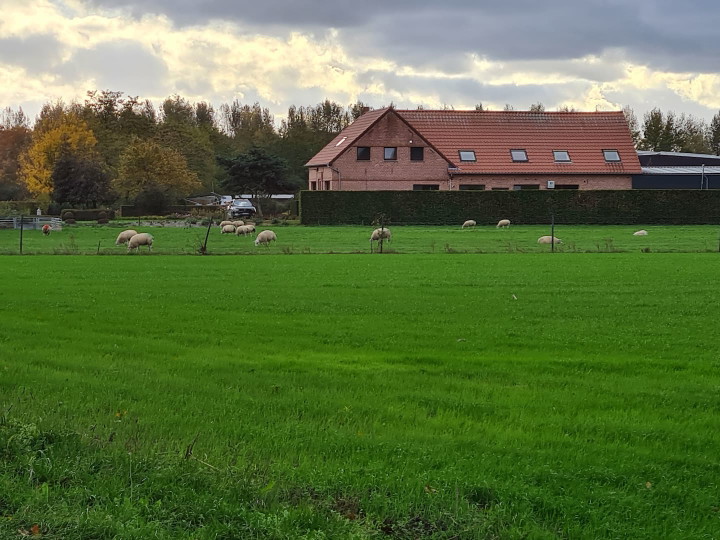 Hetgoor - Herentals