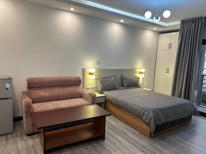 A Comfy Studio Apartment In Bole - Addis Ababa
