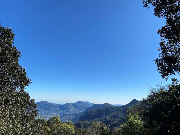 Skyhouse En El Bosque: Paseos & Wildlife - Wifi - Mexico