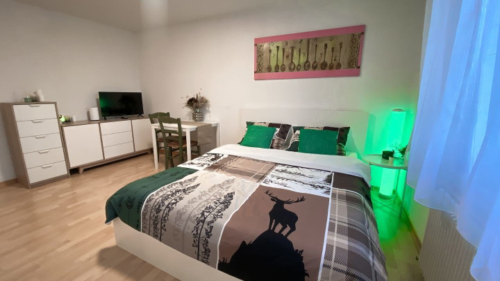 Studio Im 7. Stock Stadtnah & Heimelig - Solothurn