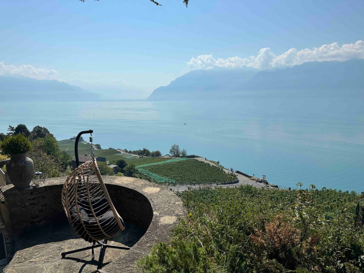 Panoramic Apt In The Vineyard & Breathtaking View - Vevey