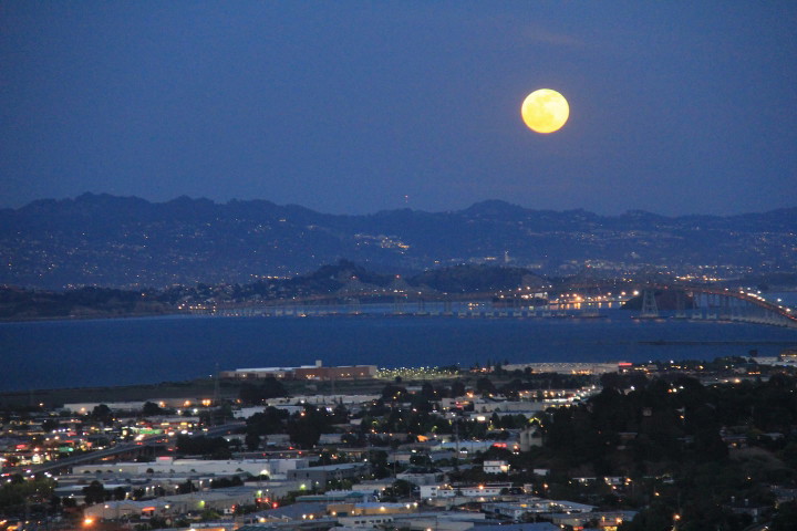 Farm In The City & Sweeping Bayview - San Rafael, CA