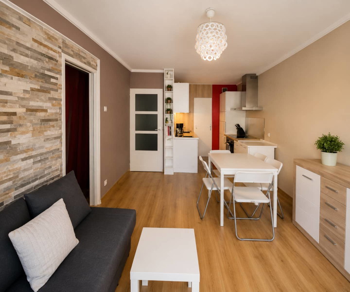Cosy Appartement Entre Jura, Suisse Et Mont-blanc. - Ferney-Voltaire