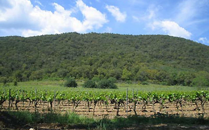 Gîte Domaine De Siouvette - Côte d'Azur