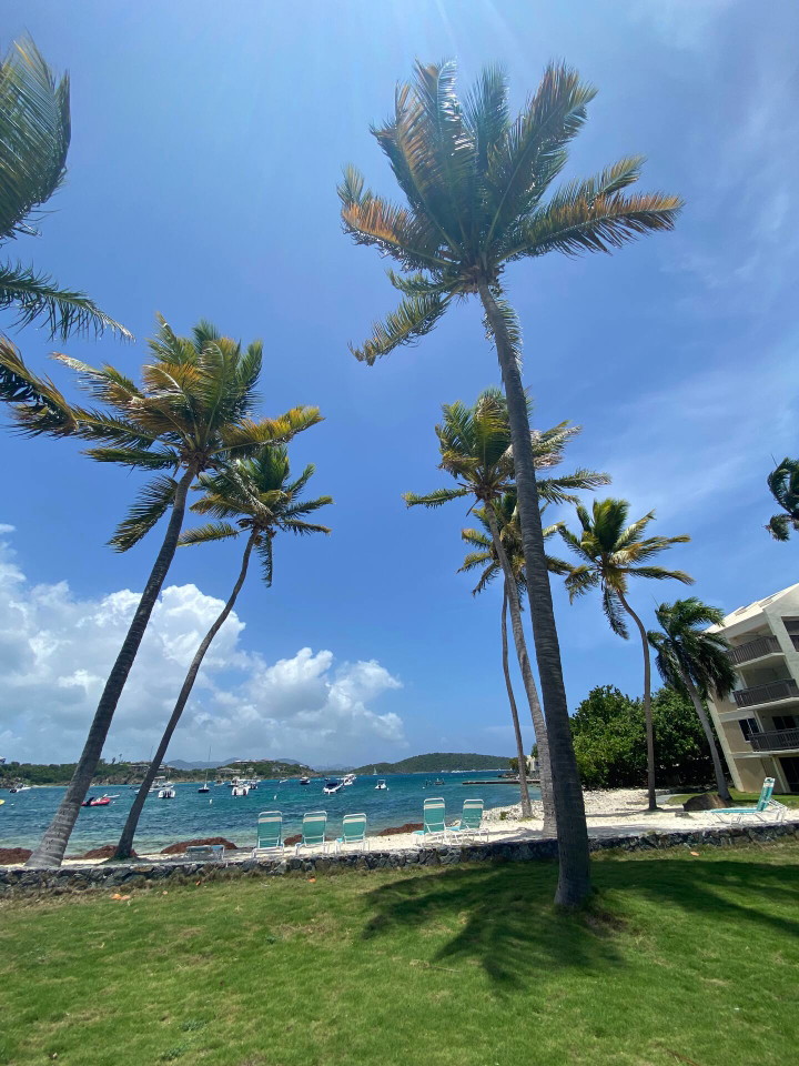 Beautiful East End 2br Condo With Stunning Views - Saint Thomas