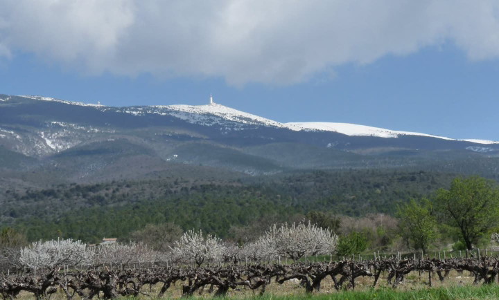 Le Colombier - Mazan