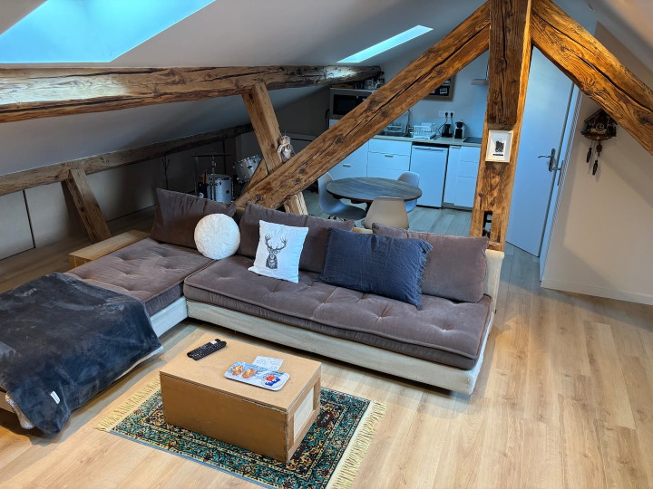 Sous Les Toits Au Cœur Dannecy - Annecy
