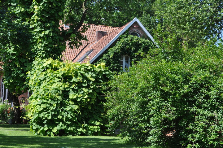 Fewo In Ehemaliger Dorfschule - Bergen