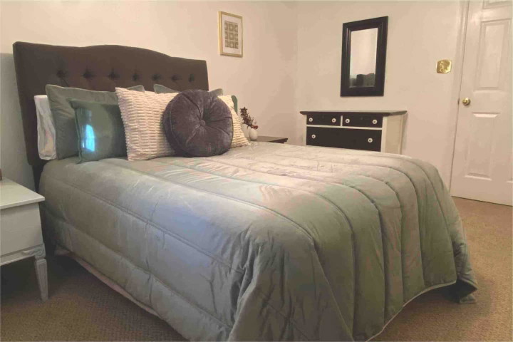 The Spring Suite - 