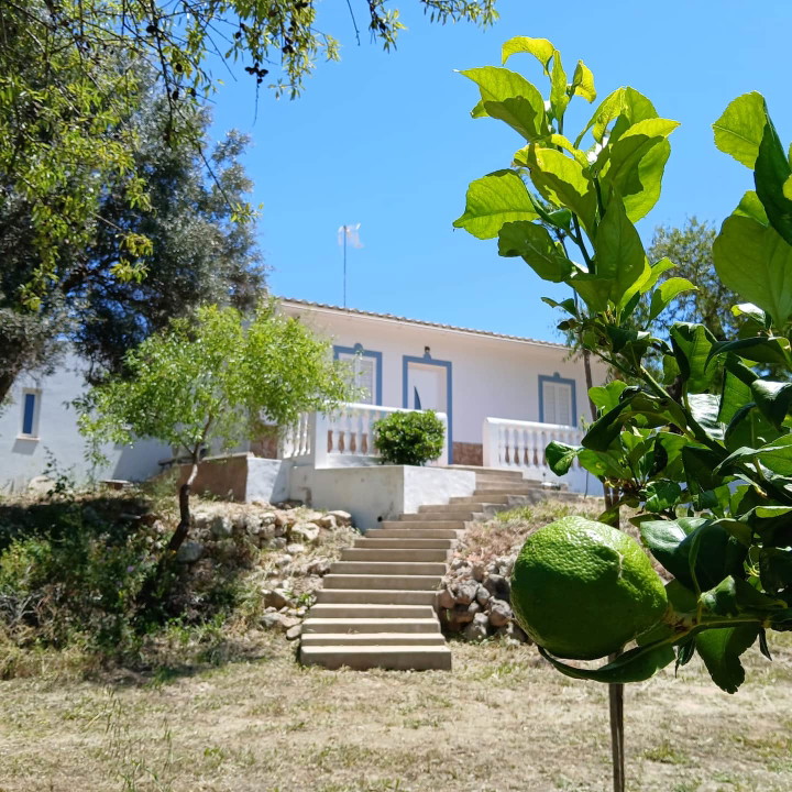 Jacaranda-nexe House - Algarve