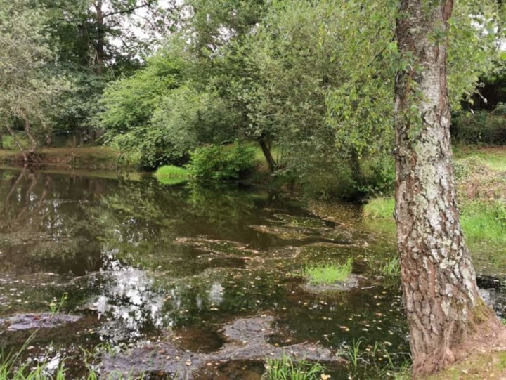 Jolie Petite Maison Avec Point D'eau - Bagnoles de l'Orne