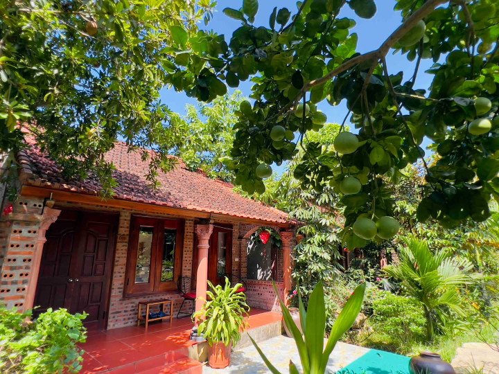 Ninh Binh Family Homestay-tropical Bungallow - China