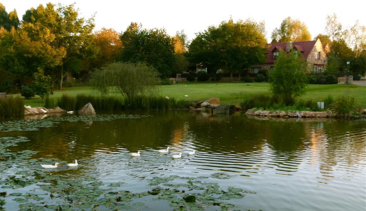 Delagoa Cottage Dullstroom - Dullstroom