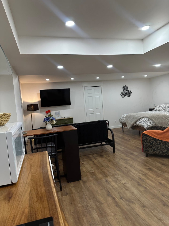 Quiet Private Basement - Near Lhsc & Hwy 401 - London