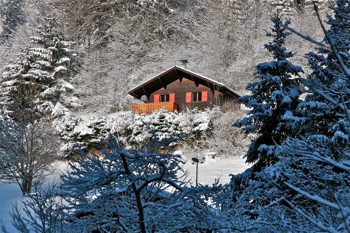 Cute Authentic Pet Friendly Ski Chalet - Le Bouveret