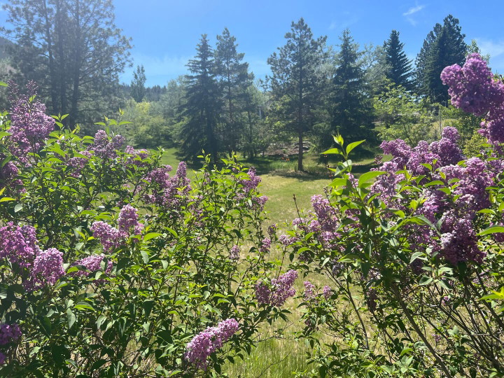 Newly Listed Scenic Central Home With Trail Access - Helena, MT