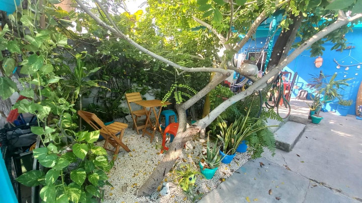 Dona Carmen's House  Studio #3  Centre - Cozumel
