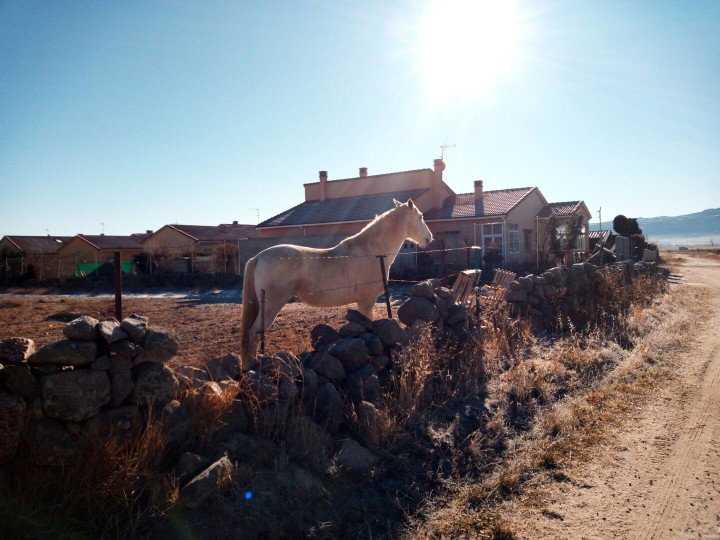 Casa Rural
 "Los Campos" Av-459.
A 14 Km. De ÁVila - Ávila
