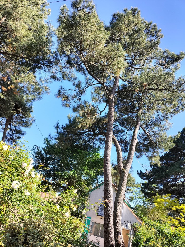 Maison 50 Métres De La Plage - Saint-Nazaire