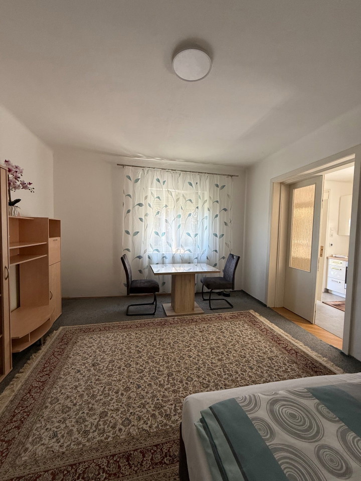 Smart, Central & Affordable - Graz