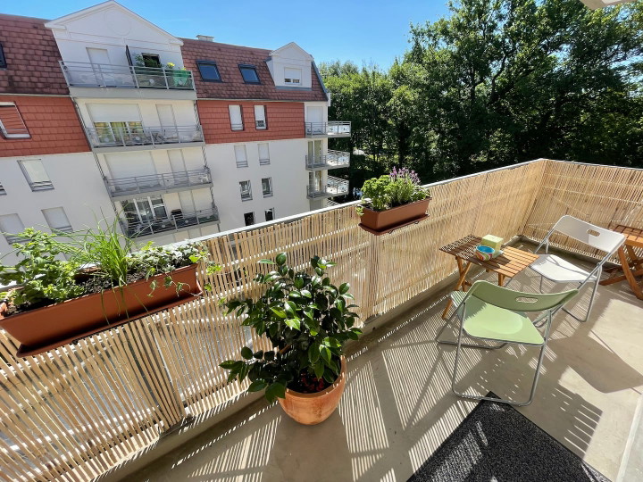 Ambiance Cosy Avec Balcon + Parking - Strasbourg
