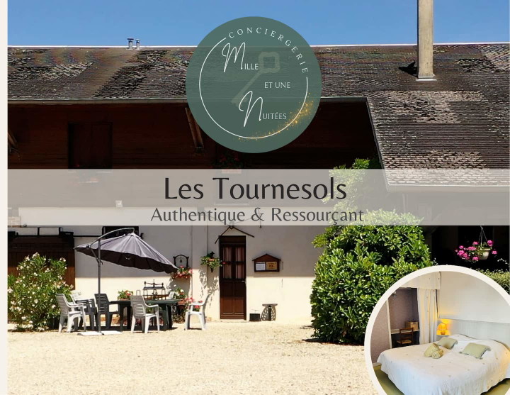 Les Tournesols - Proche Lacs & Observatoires - Lac d'Orient