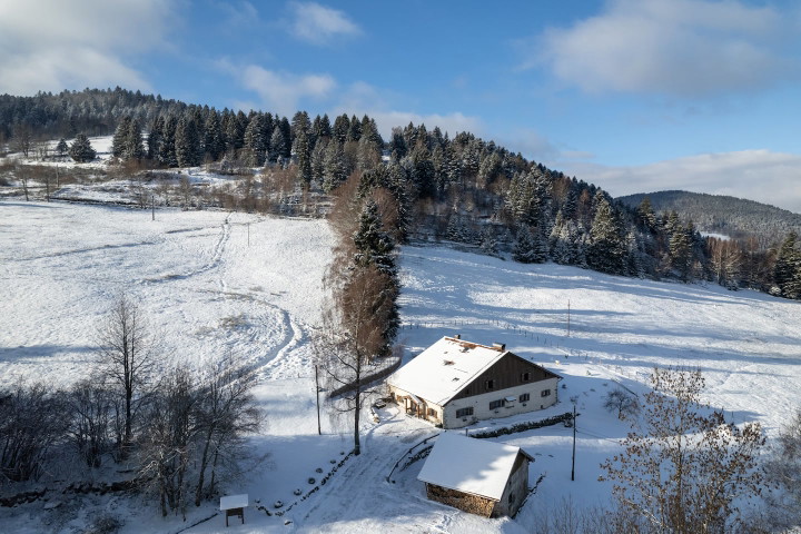 La Ferme Du Douanier & Spa 5* All Inclusive 18 People - Vosges