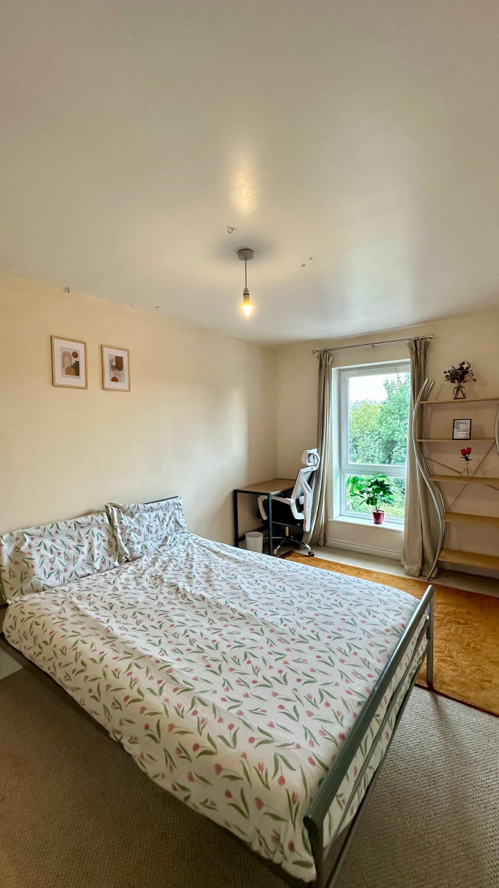 Comfortable Professional Stay In Reading - Reading