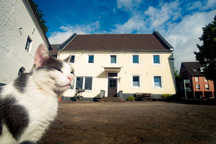 Historisches Mühlenhaus Nahe Köln  Ganzes Haus - Bergheim, Germany