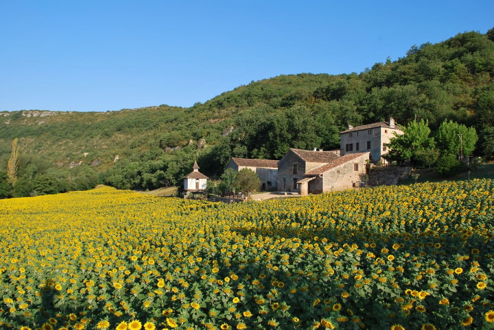 L'hermitage En Occitanie, Une Ferme à Penne - Saint-Antonin-Noble-Val