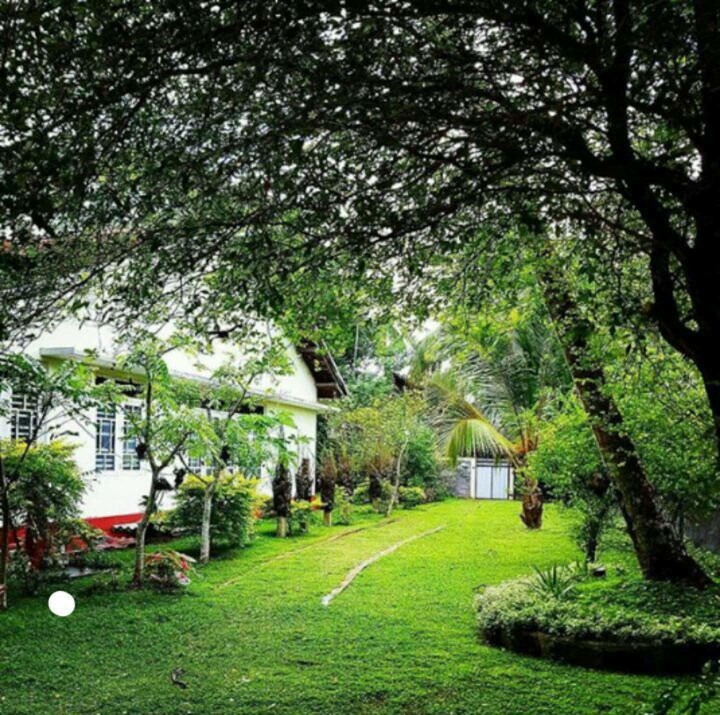 Yathra House -Near Hikkaduwa Beach - Hikkaduwa