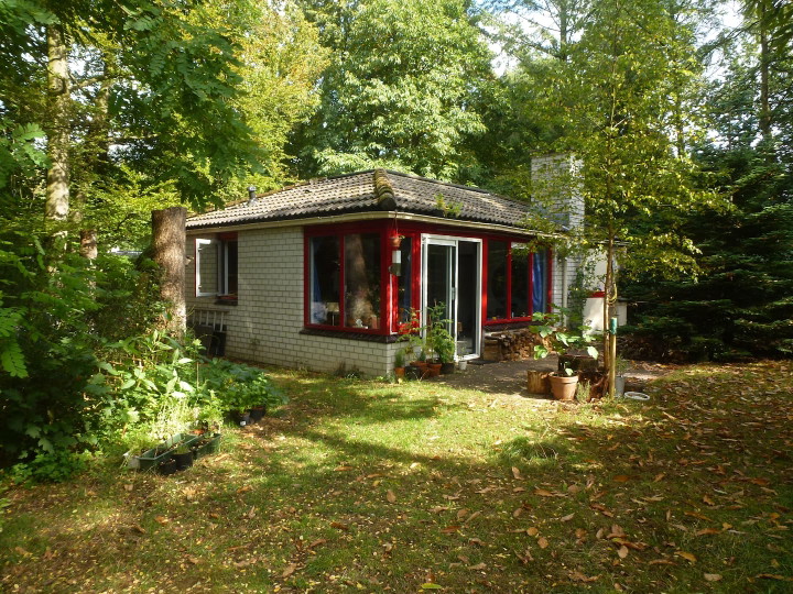 Forest House In Centre Of Holland - Ermelo, Netherlands