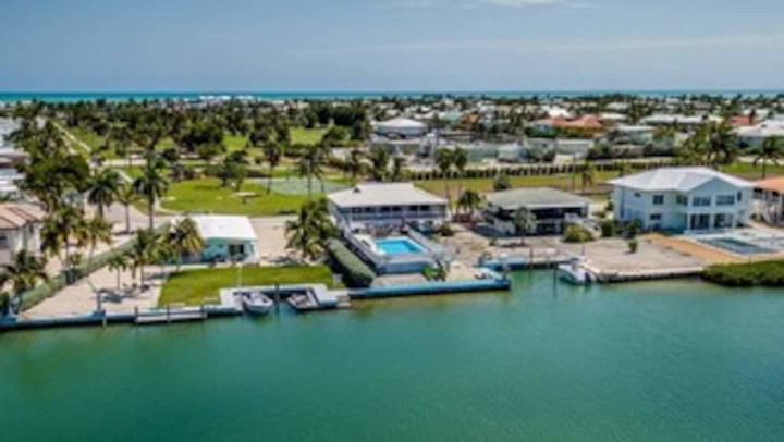 Watch Dolphins Play In Shelter Cove While You Swim - Key Colony Beach, FL