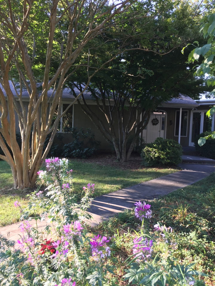 Meadow Wood Lane
Retreat - Crozet, VA