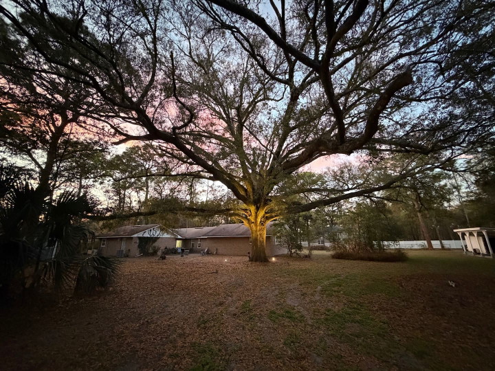 Alderman&nbsp;Acres&nbsp;&nbsp;4&nbsp;Chambres Avec Une Salle De Jeux&nbsp;! - Jacksonville, FL