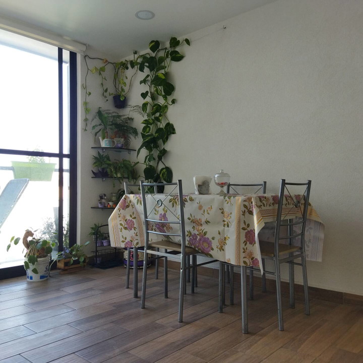 Confortable Appartement Dans Un Quartier Central Avec Terrasse. - Mexico City