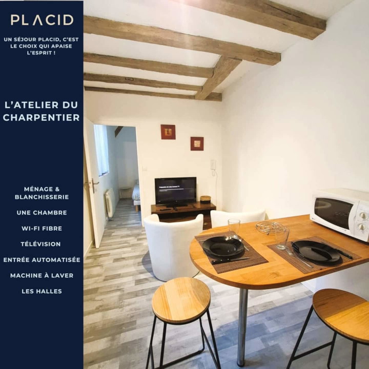 Latelier Du Charpentier  1 Bedroom  Wi-fi  Tv - Tours