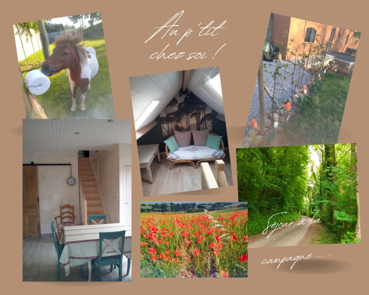 Maison Cottage Un Petit Chez Soi - Saint-Pol-sur-Ternoise