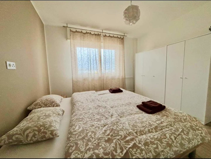 Executive Apartment Near Basel - EuroAirport Basel-Mulhouse-Freiburg (BSL)