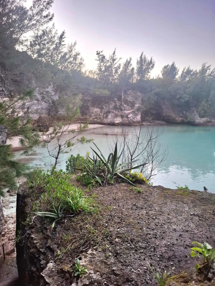 Northstar Airbnb - Island Breeze & Ocean Views - Bermuda