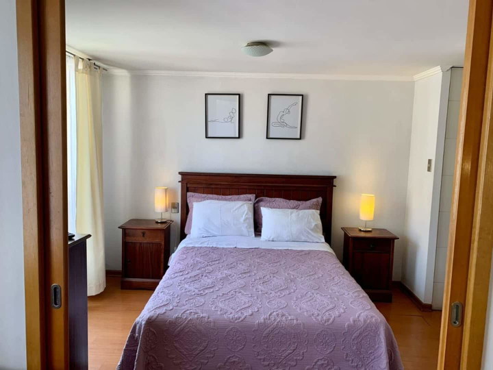 Acogedor Departamento Barrio Lastarria - Providencia