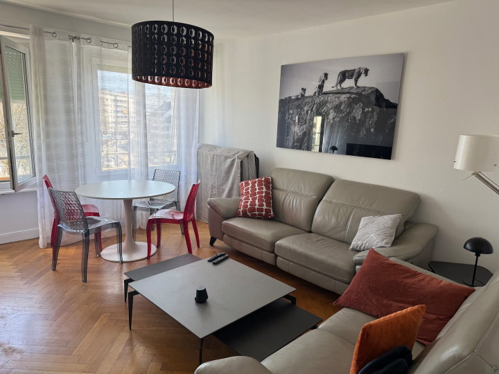 Appartement Carouge Proche Du Centre-ville. - Genève