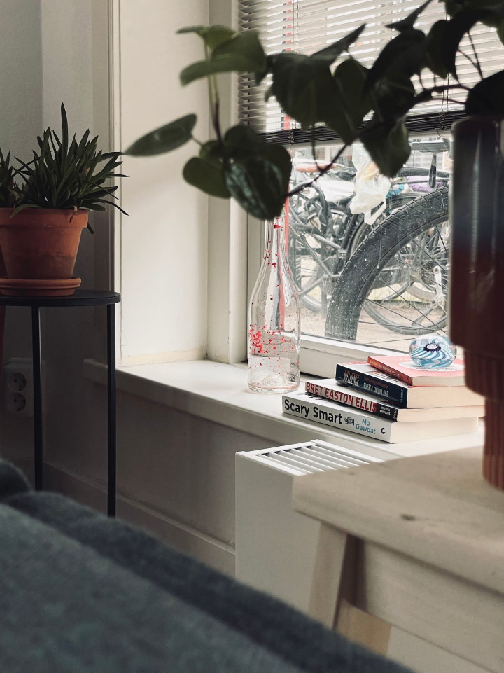 Charming Ground-floor Apartment Near Center - Utrecht